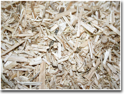 Litières et terre à bain – Gerbilles Planet